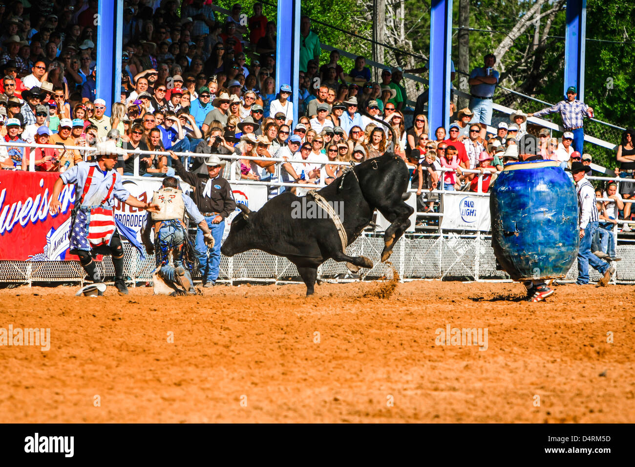 The Florida State 85th Rodeo Championships in Arcadia Stock Photo - Alamy