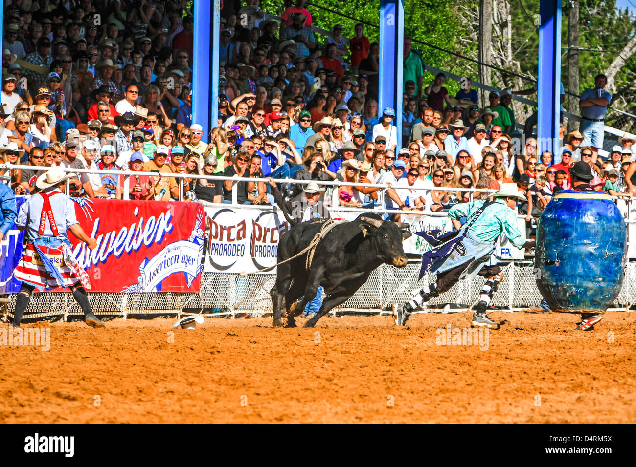 The Florida State 85th Rodeo Championships in Arcadia Stock Photo - Alamy