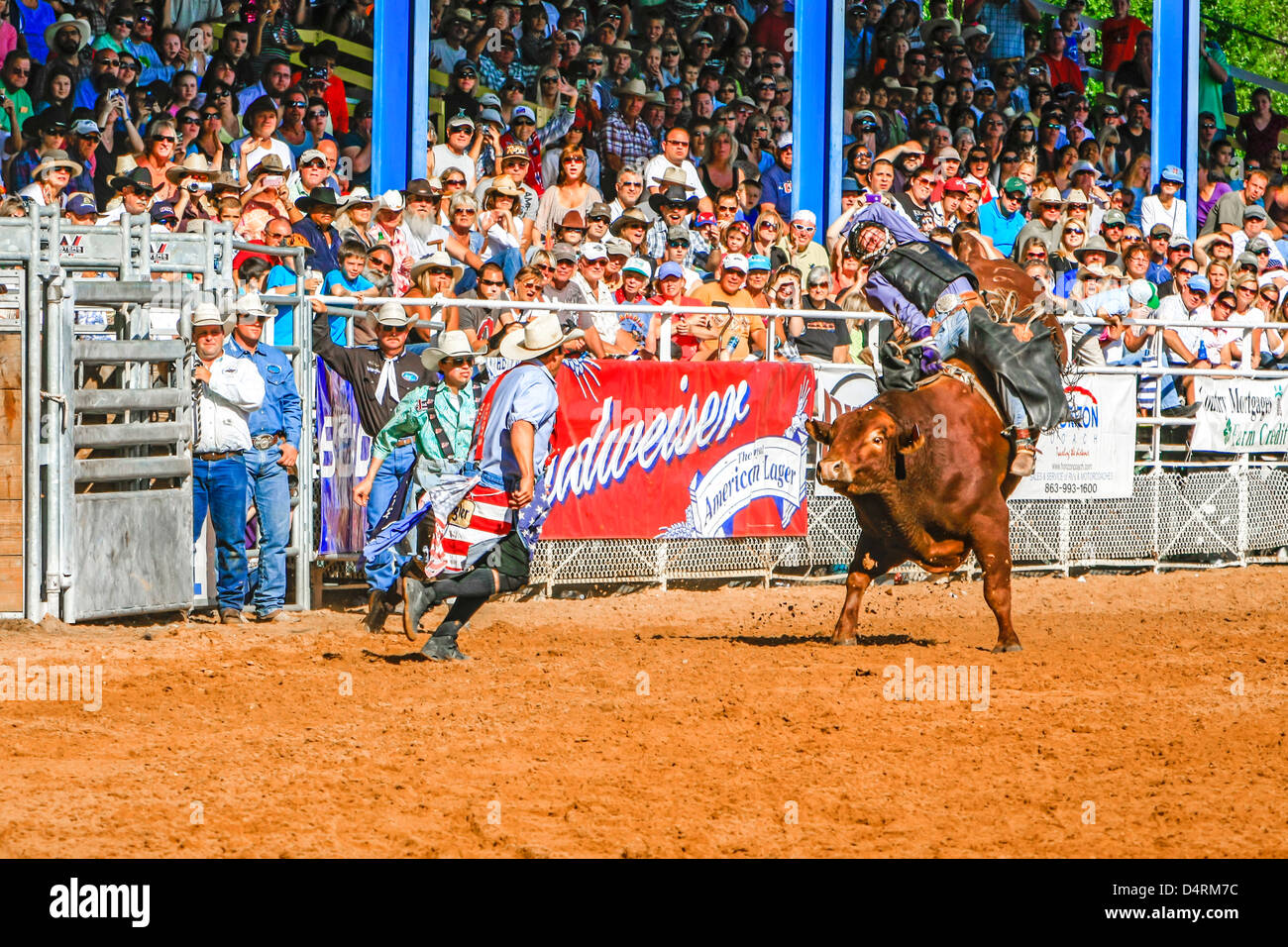 The Florida State 85th Rodeo Championships in Arcadia Stock Photo - Alamy