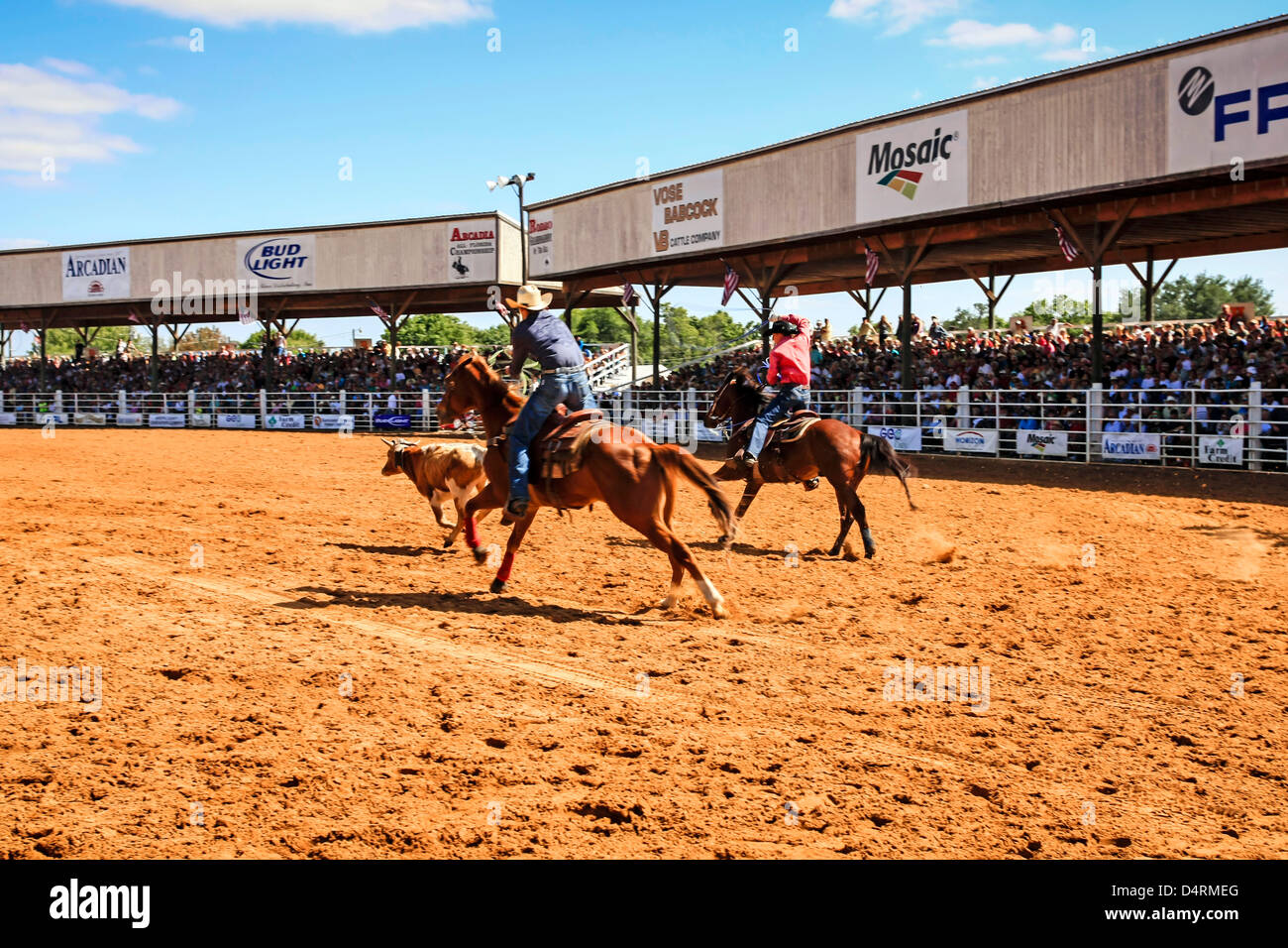 The Florida State 85th Rodeo Championships in Arcadia Stock Photo - Alamy