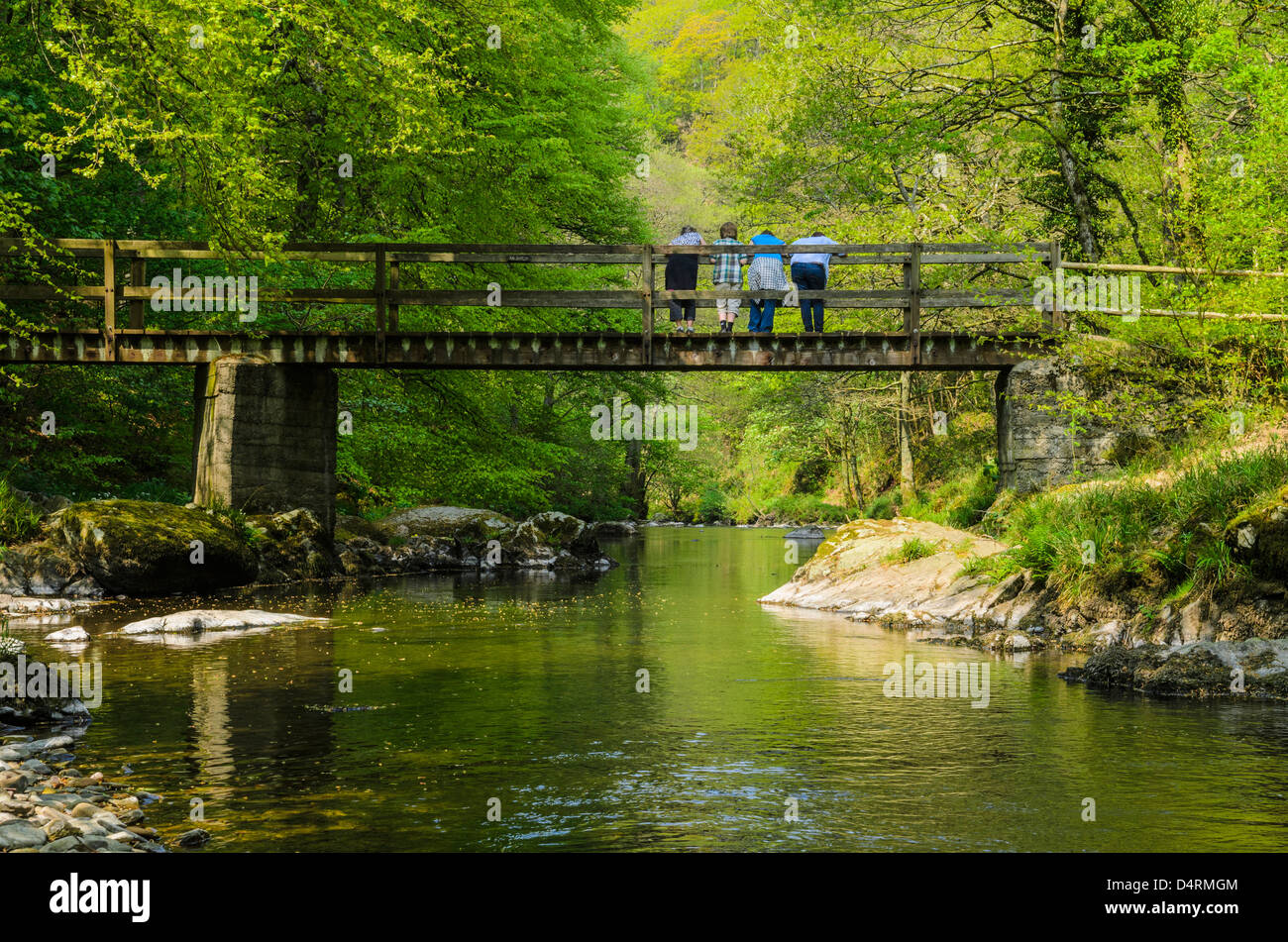 Ash Bridge over The East Lyn River in Barton Wood in Exmoor during ...