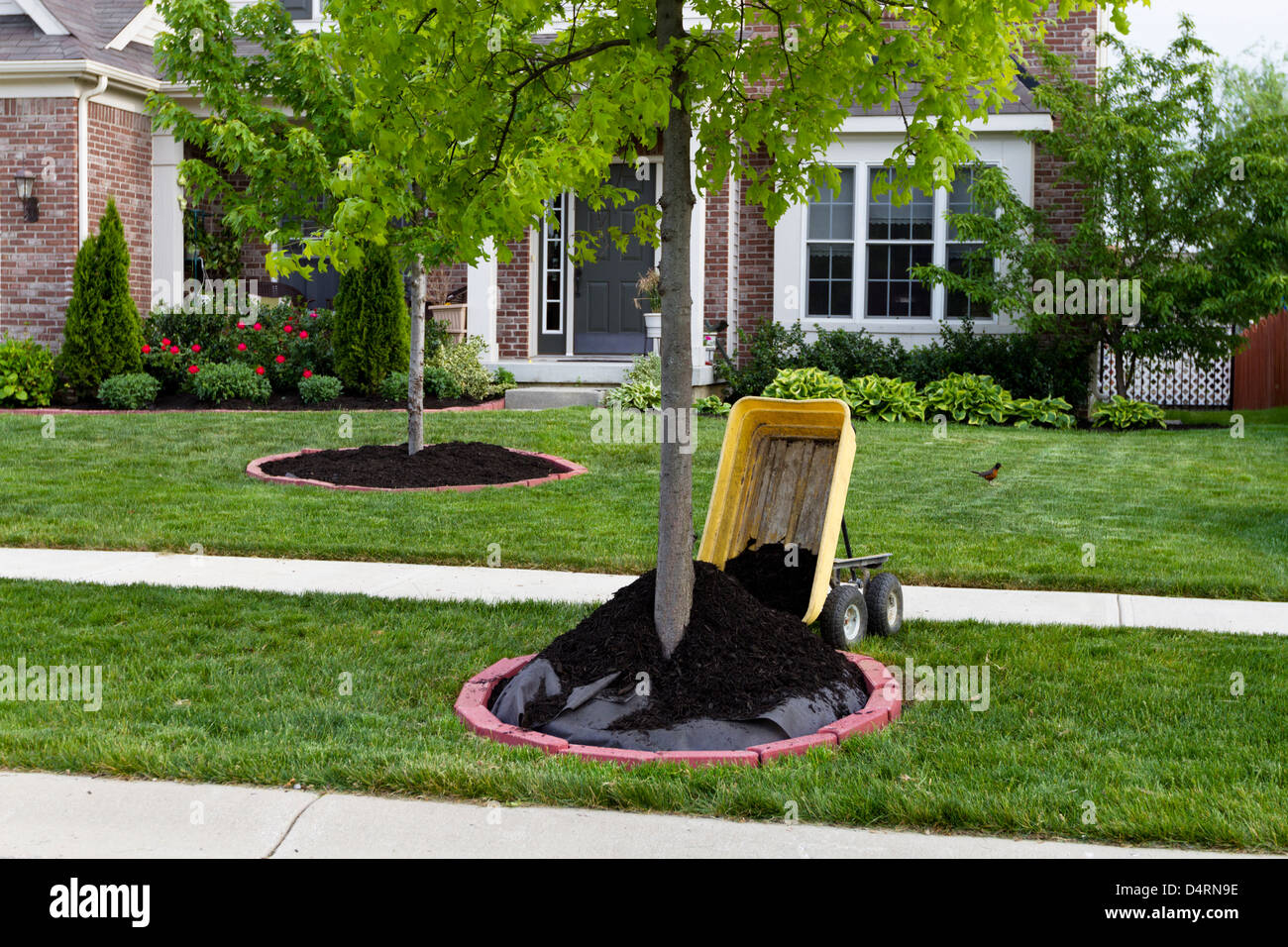 Maintaining house, quickest way to improve how your garden looks is ...