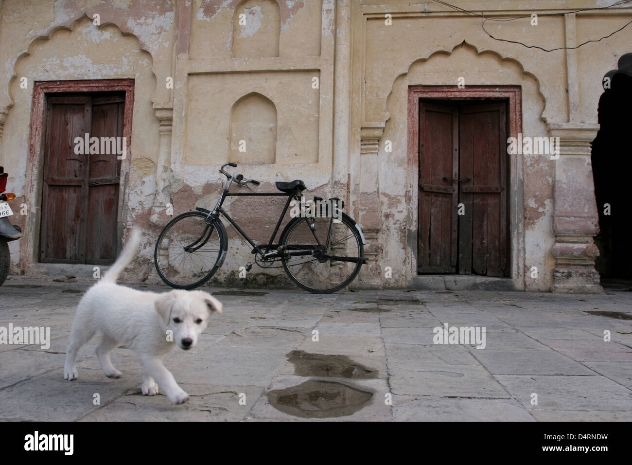 Temple courtyard at Kankhal, a suburb of Haridwar Stock Photo - Alamy