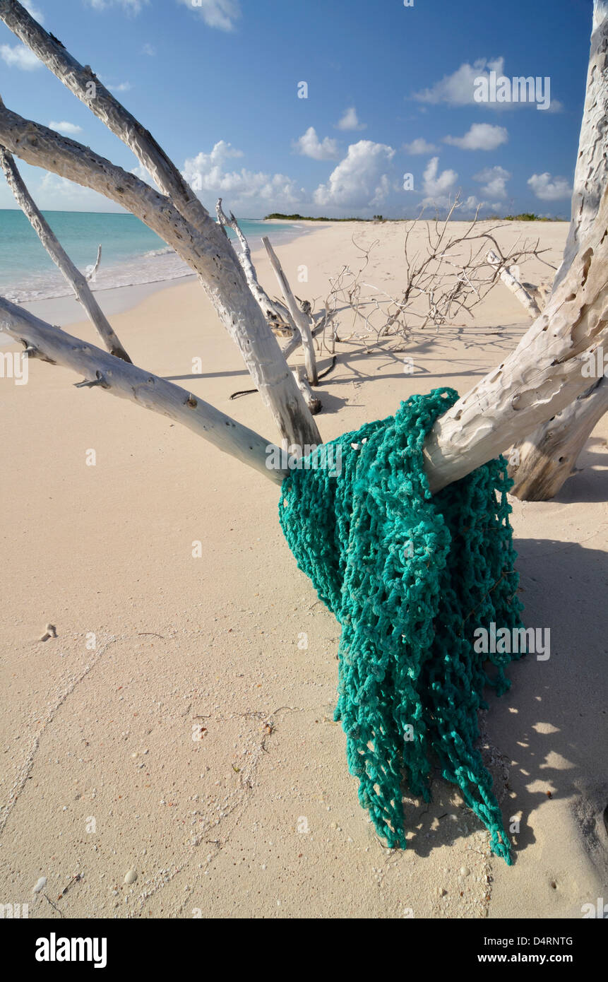 Fishing net wrapped around tree on the beach of Anegada, British Virgin ...