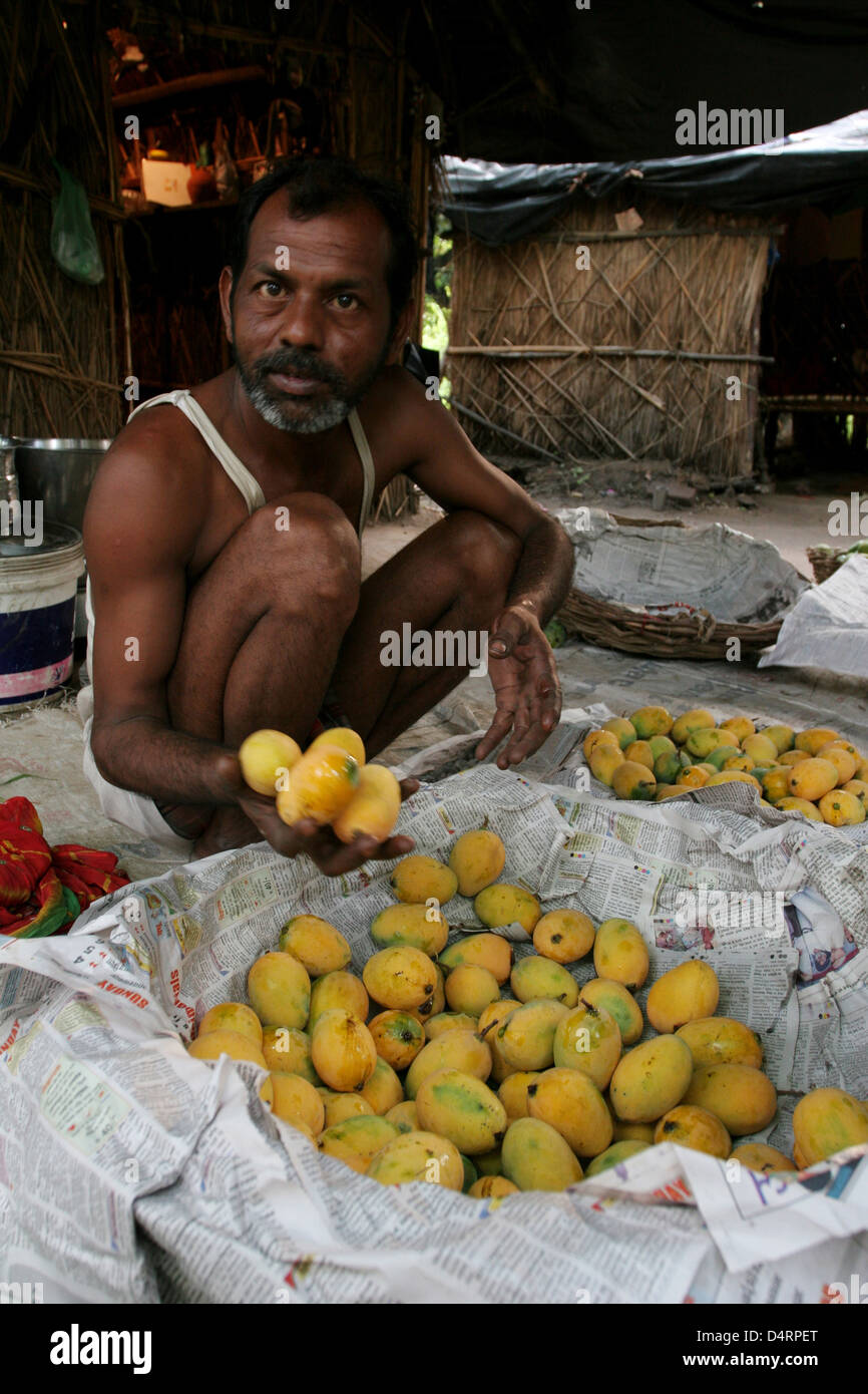 Mango seller in Kankhal, a suburb of Haridwar Stock Photo - Alamy