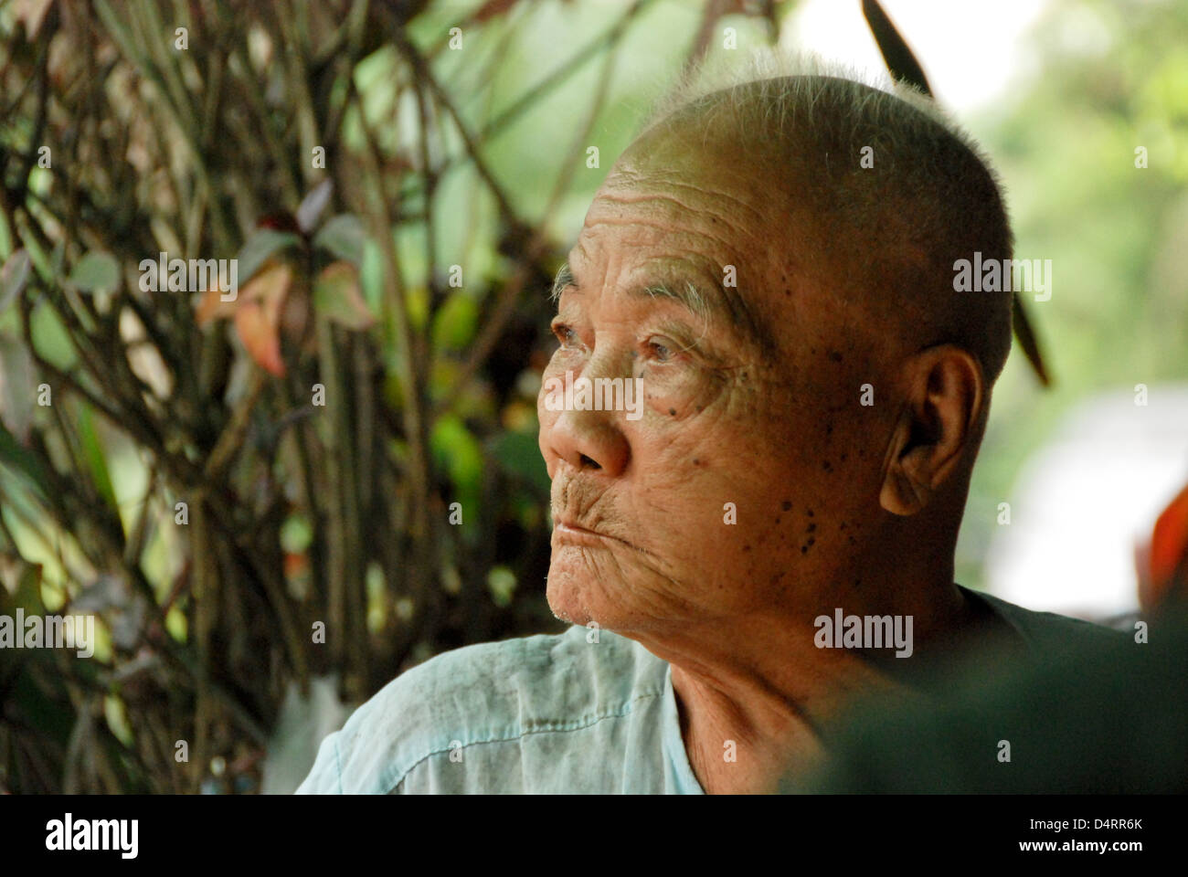 An elderly oriental man stares into the distance Stock Photo - Alamy