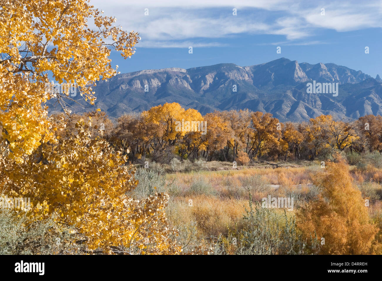 New mexico autumn landscape hi-res stock photography and images - Alamy
