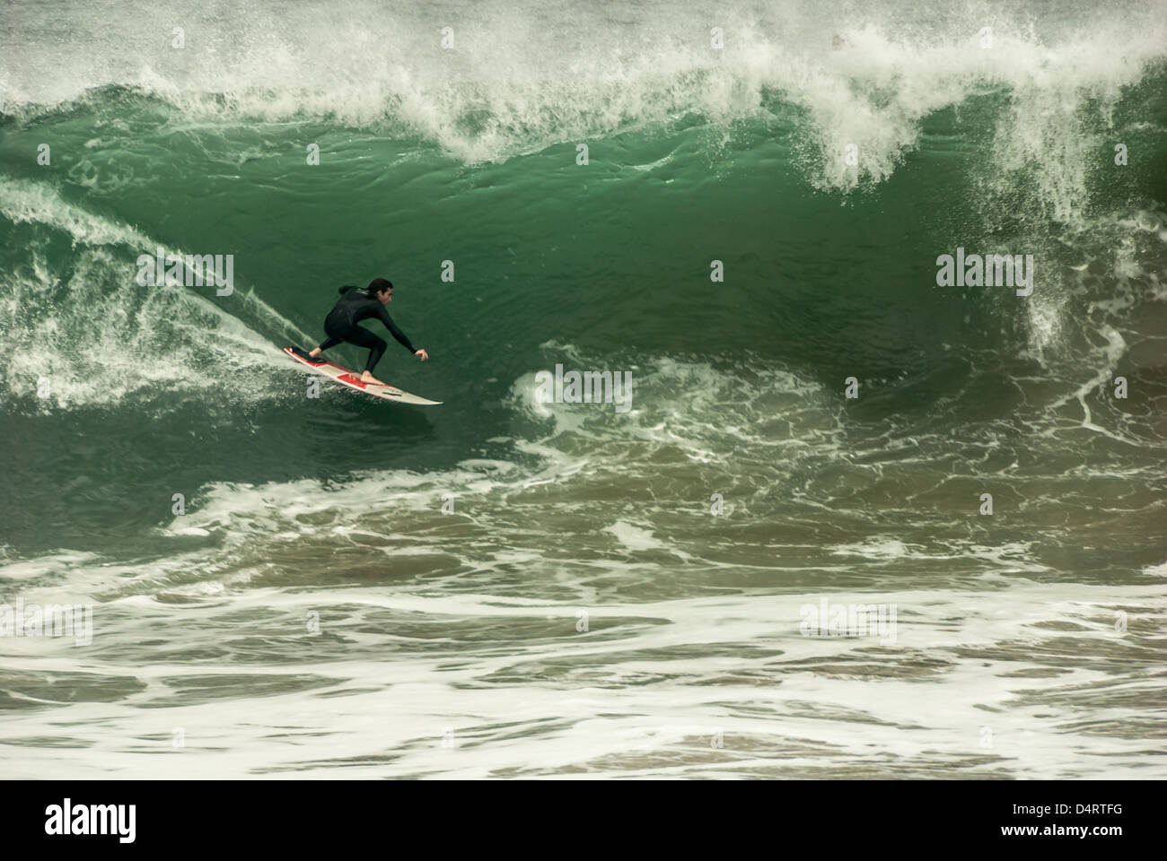 Surfer speeding under the lip of a huge wave at the legendary Wedge in ...