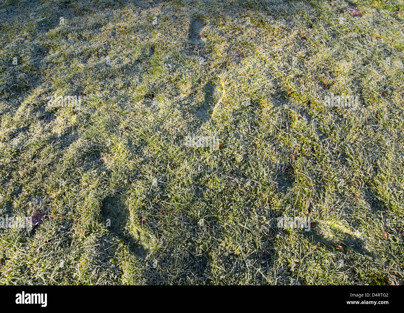Footsteps on frozen lawn , Finland Stock Photo - Alamy