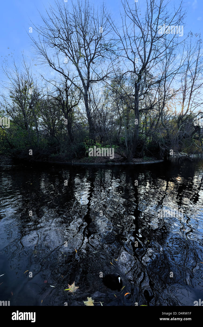 Reflections in the park Stock Photo - Alamy