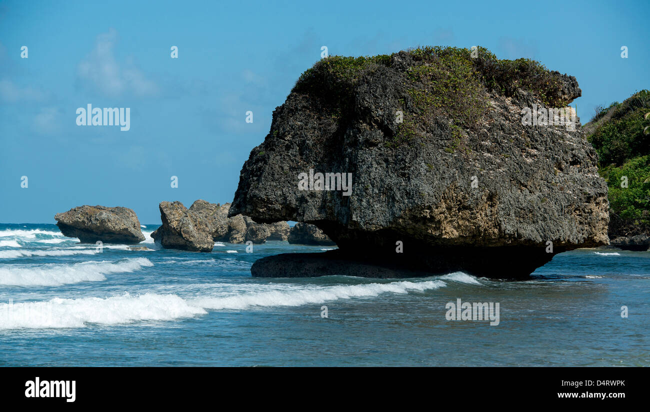 Bathsheba barbados hi-res stock photography and images - Alamy