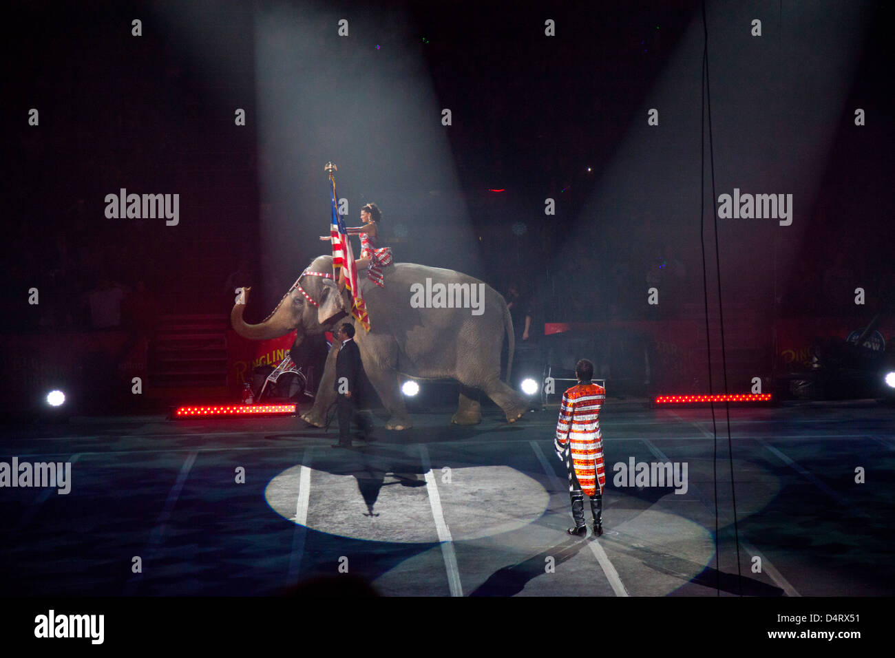 Ringling Bros and Barnum Bailey circus elephants Stock Photo - Alamy