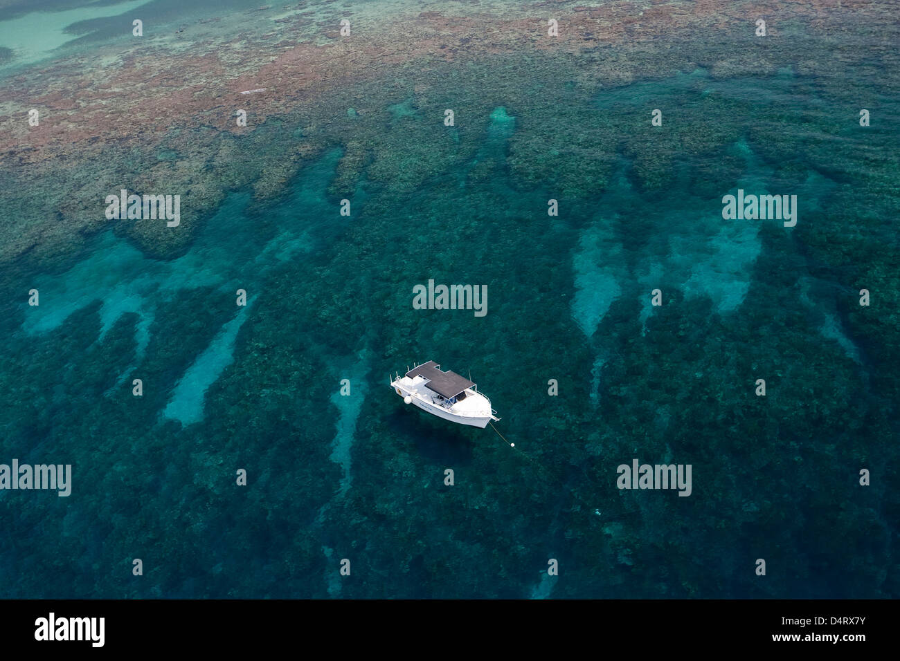 Dive boat above coral reef Stock Photo - Alamy
