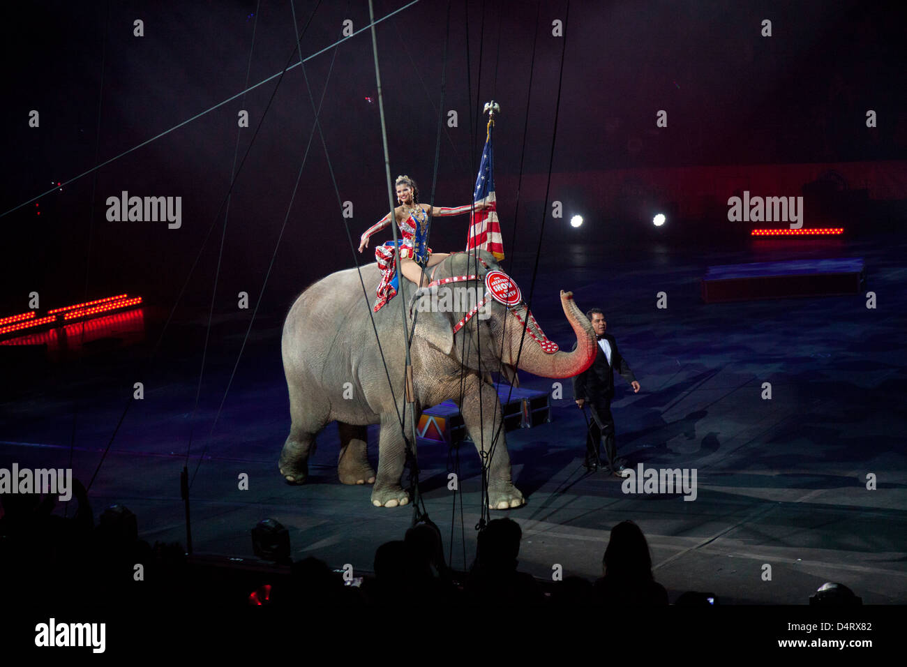 Ringling Bros and Barnum Bailey circus elephants Stock Photo - Alamy