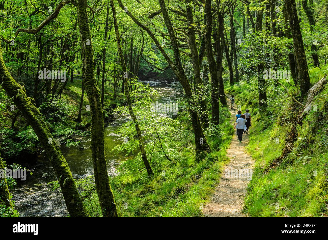 River bank pathway hi-res stock photography and images - Alamy