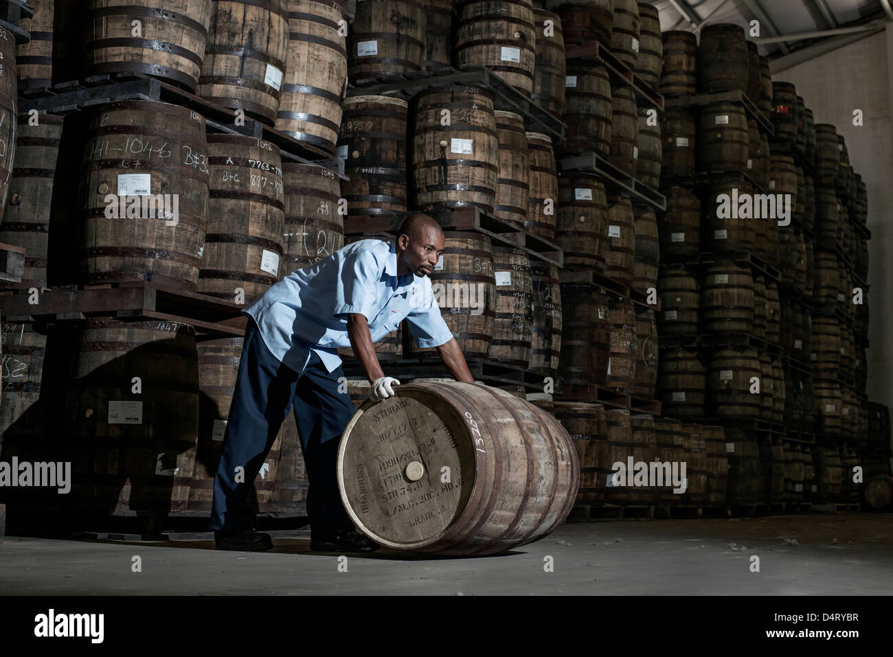 A distillery worker moving wooden barrels at the Mount Gay rum ...