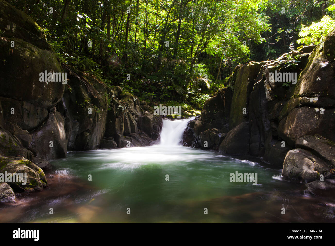 Chaudier Pool, Dominica Stock Photo - Alamy