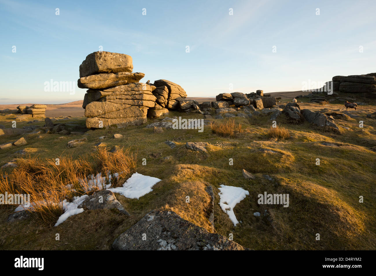 Devon moorland of dartmoor hi-res stock photography and images - Alamy