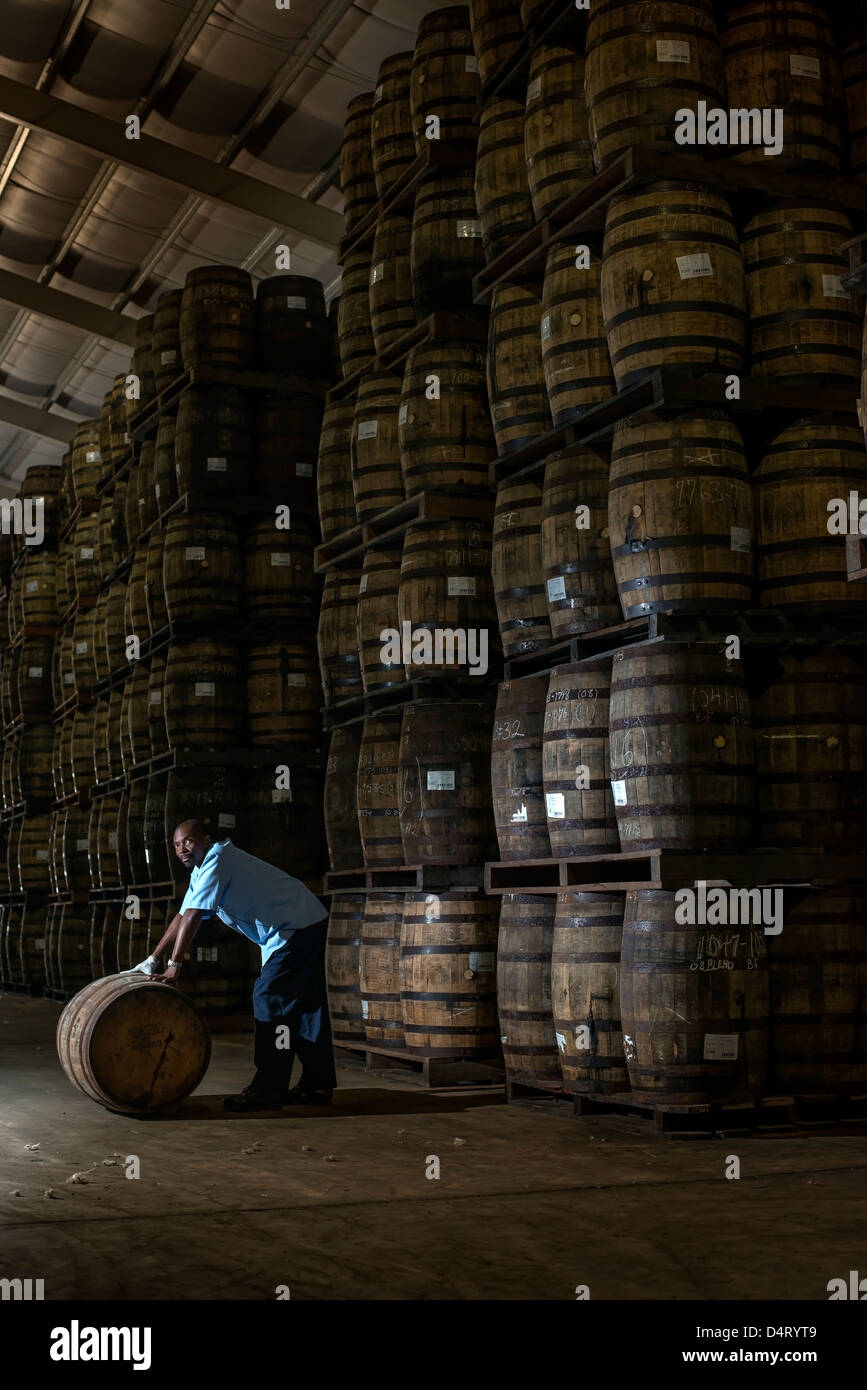 A distillery worker moving wooden barrels at the Mount Gay rum ...