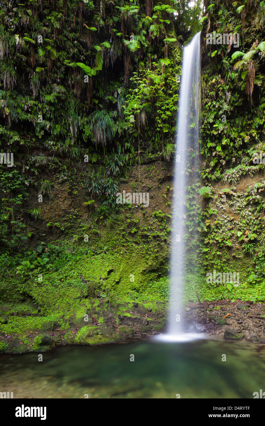 The first of the twin Spanny Falls, Dominica Stock Photo - Alamy