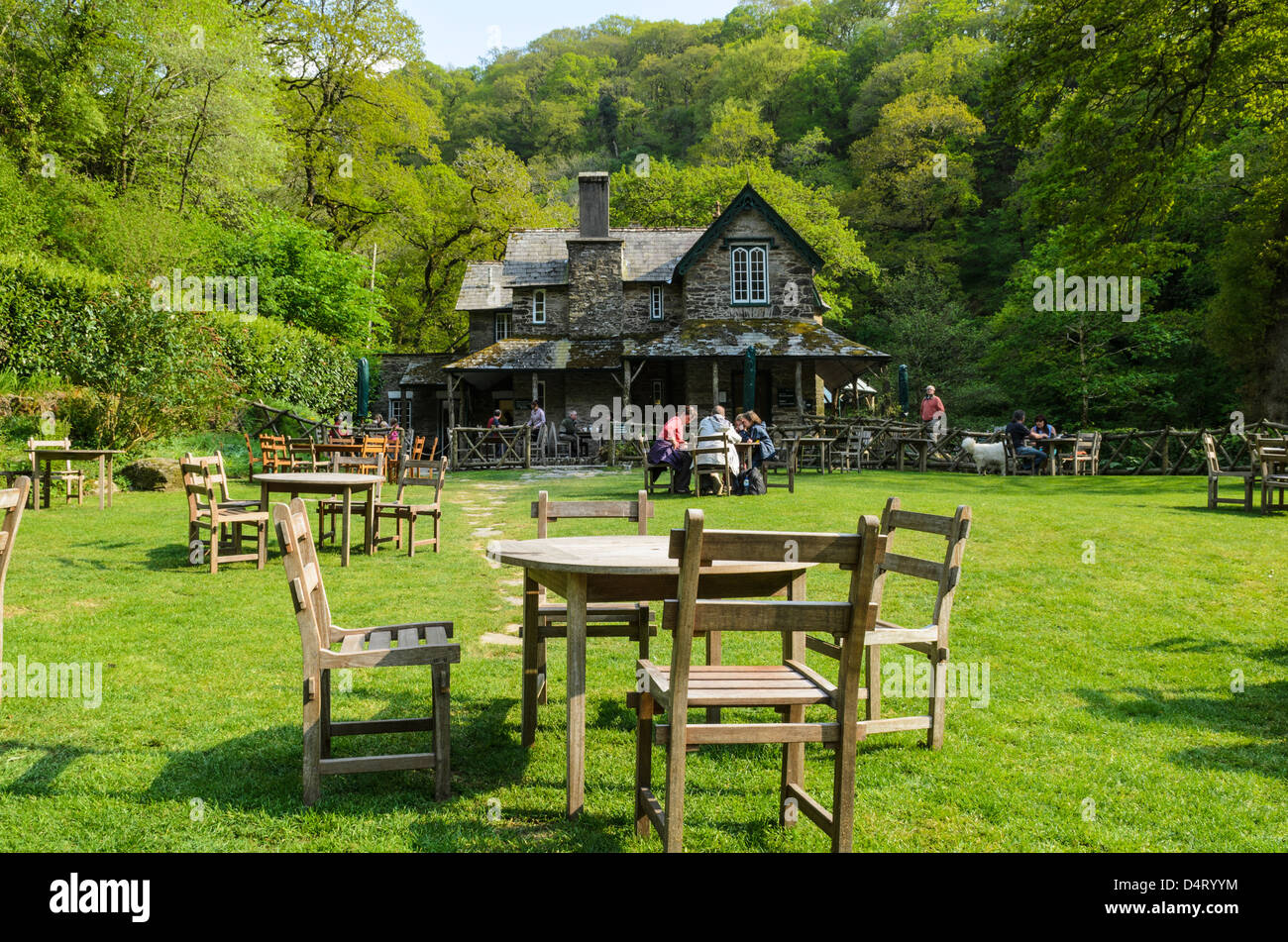 The tea gardens at Watersmeet House near Lynmouth, Devon, England Stock ...