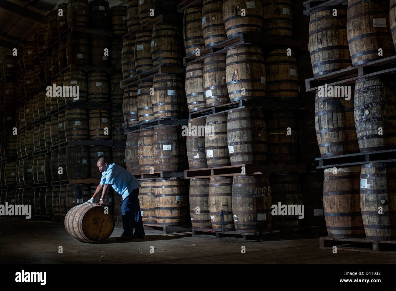 A distillery worker moving wooden barrels at the Mount Gay rum ...