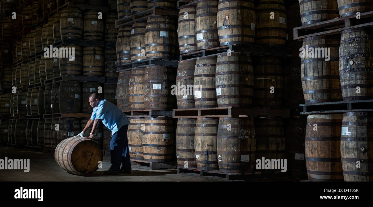 A distillery worker moving wooden barrels at the Mount Gay rum ...