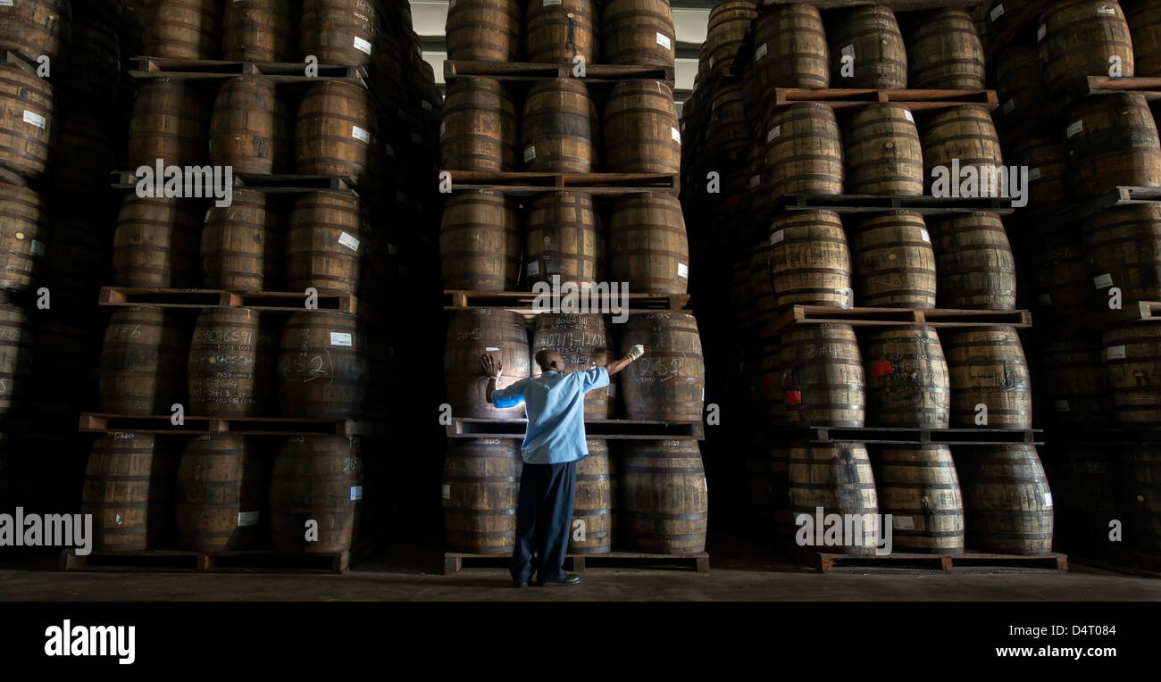 A distillery worker checks wooden barrels at the Mount Gay rum ...