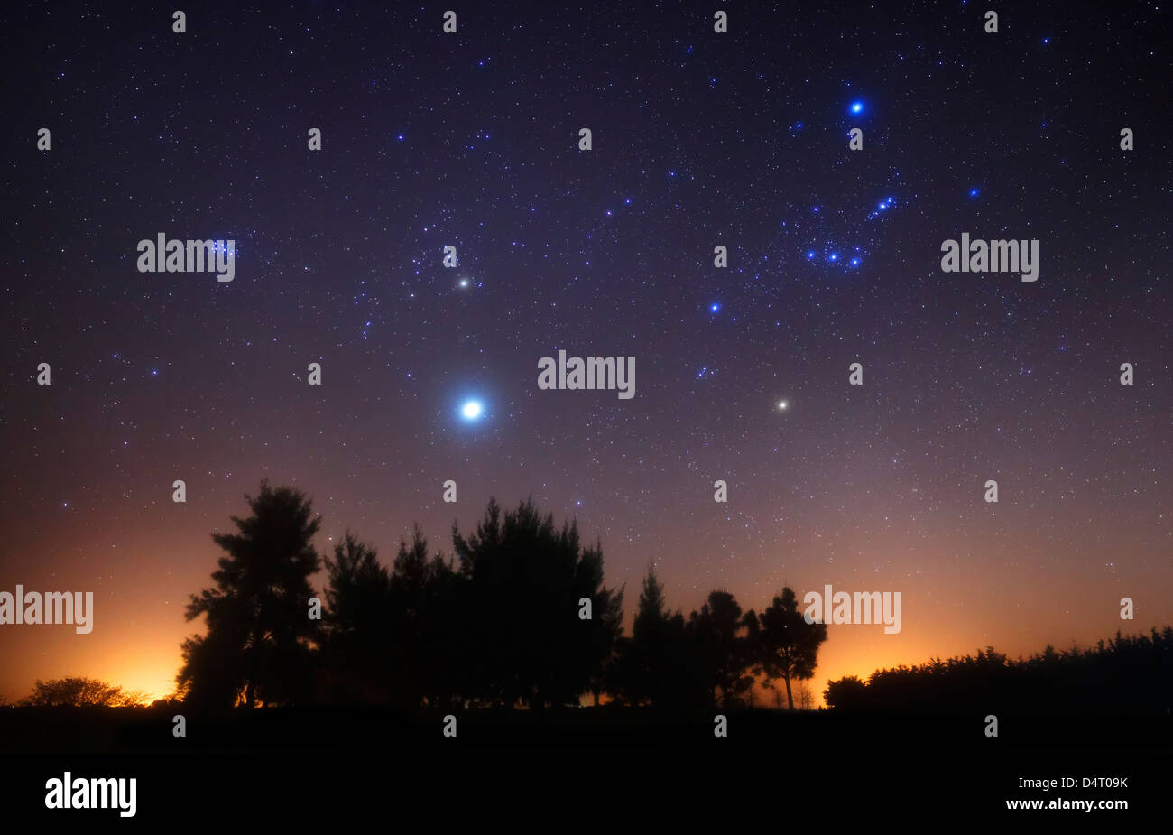 Taurus orion constellation hi-res stock photography and images - Alamy