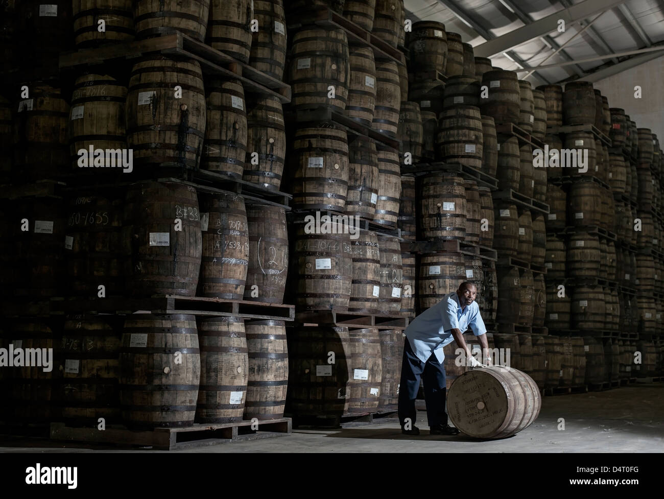 A distillery worker moving wooden barrels at the Mount Gay rum ...
