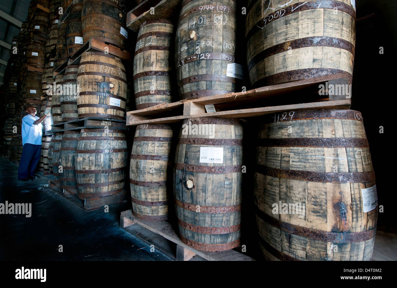 A distillery worker checks wooden barrels at the Mount Gay rum ...