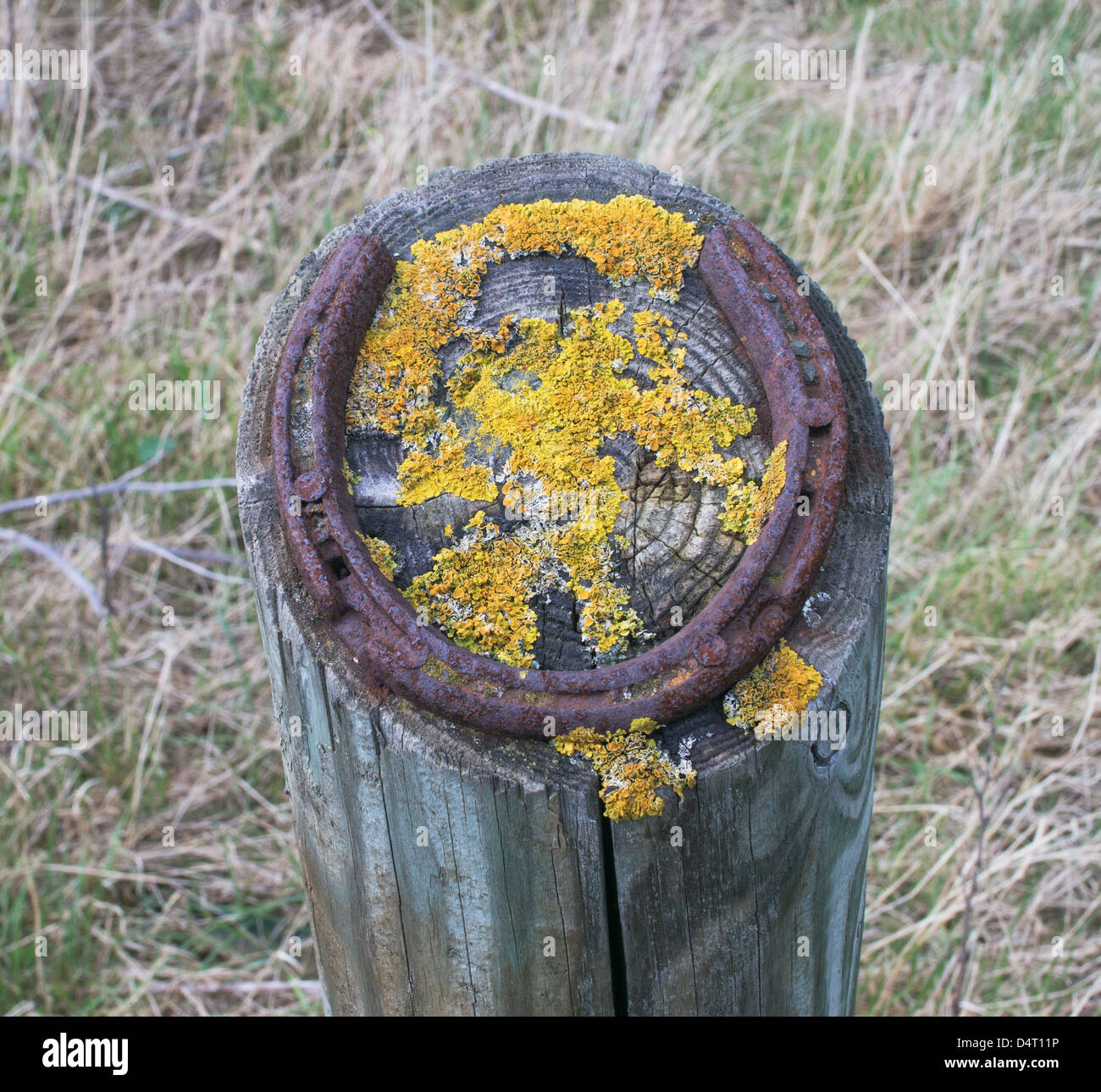 Route marker marking the route hi-res stock photography and images - Alamy