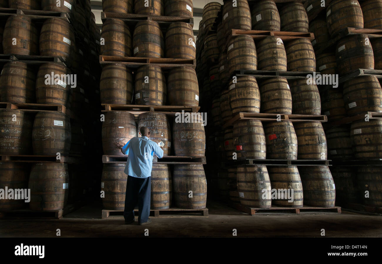 A distillery worker checks wooden barrels at the Mount Gay rum ...