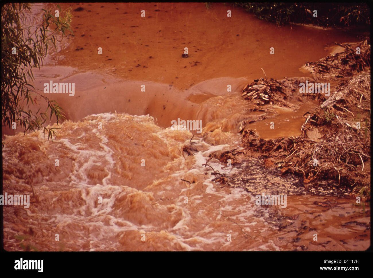Pollution from the Calcasieu Paper Mill in Elizabeth, Louisiana ...