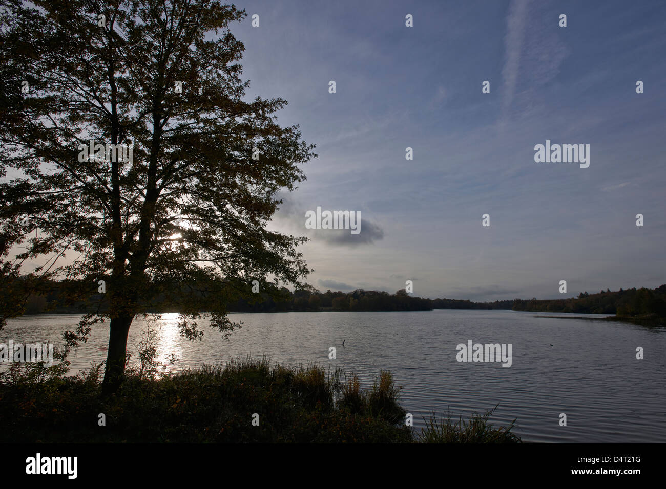Virginia Water in Autumn Stock Photo - Alamy