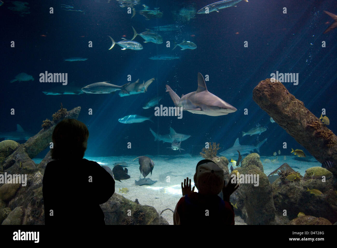 Biopark hi-res stock photography and images - Alamy