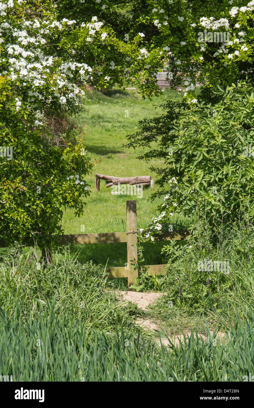 A lovely path to walk in Spring Stock Photo - Alamy