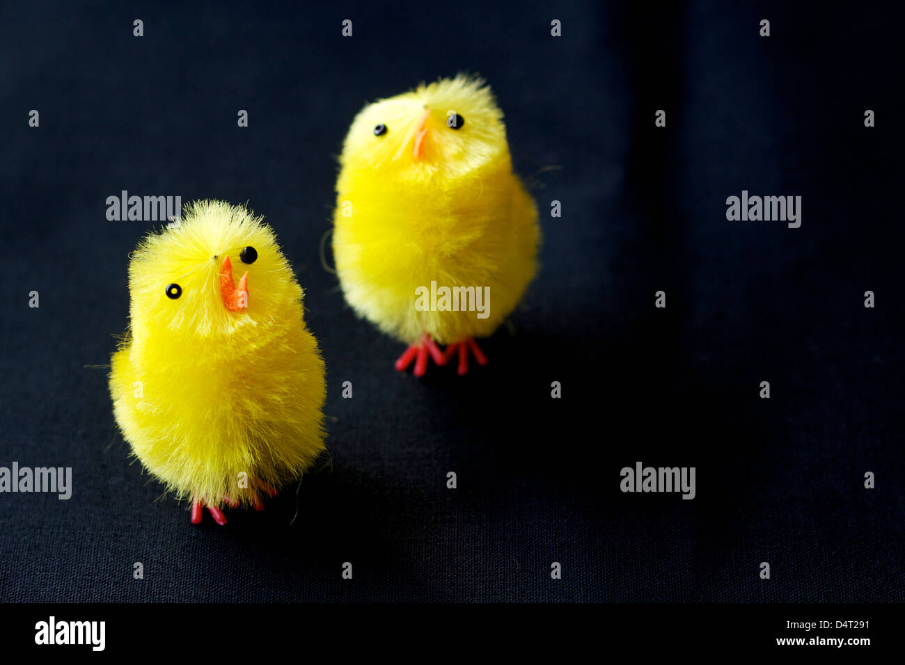Easter chick hi-res stock photography and images - Alamy