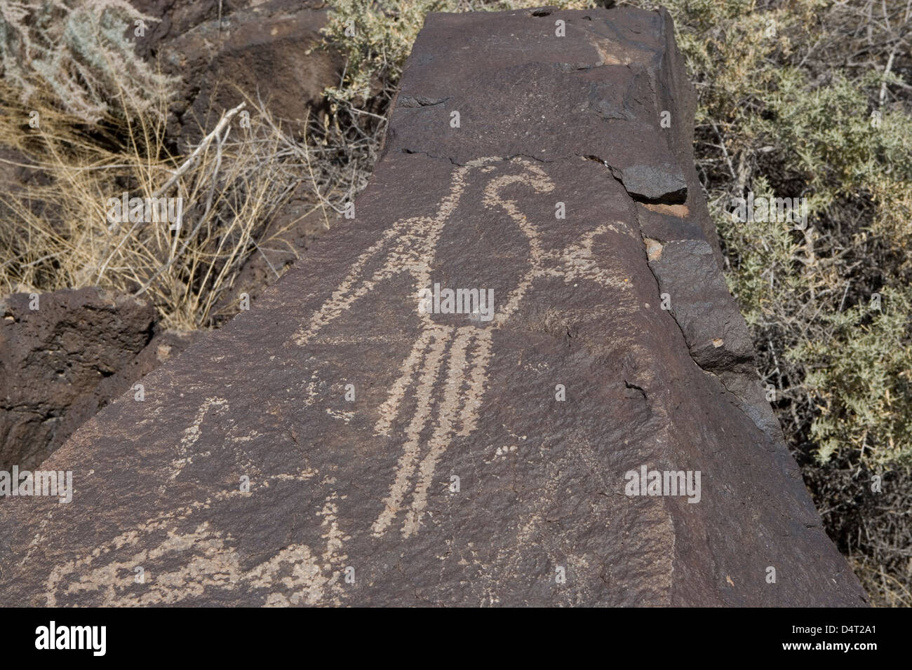 Albuquerque: Petroglyph National Monument Stock Photo - Alamy
