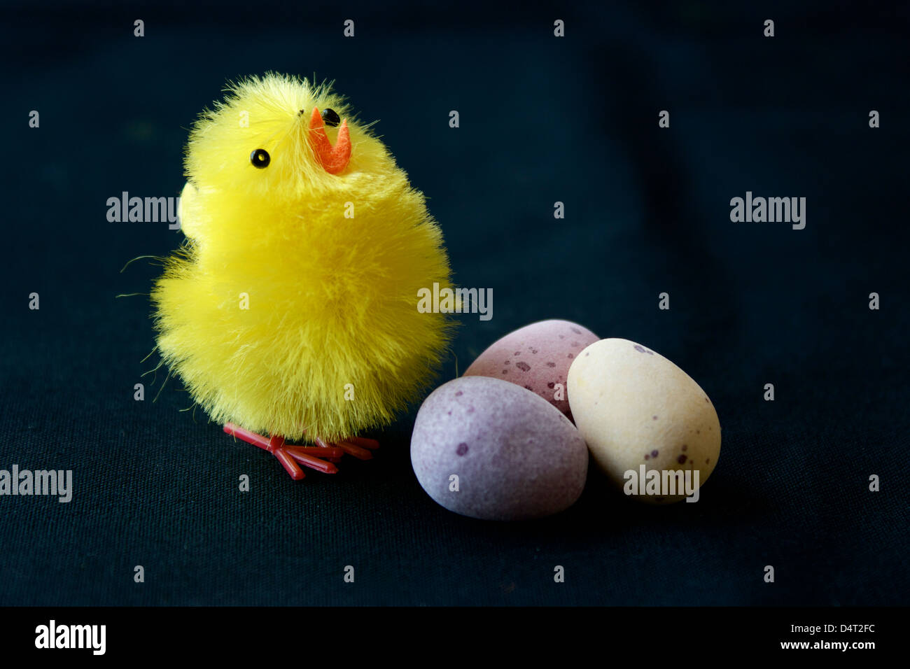 Fluffy chick egg hi-res stock photography and images - Alamy