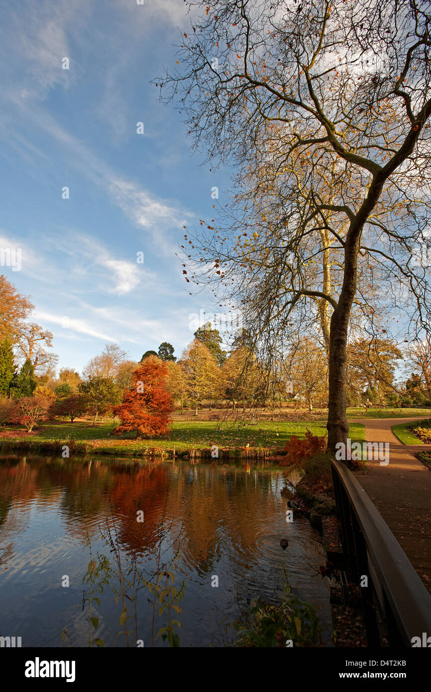 Russet Colour High Resolution Stock Photography and Images - Alamy