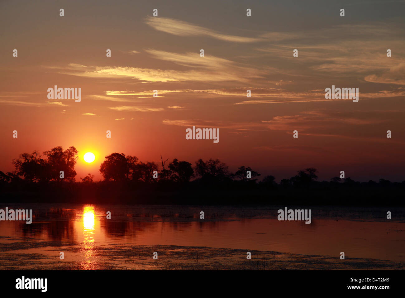 Okavango delta sunset hi-res stock photography and images - Alamy