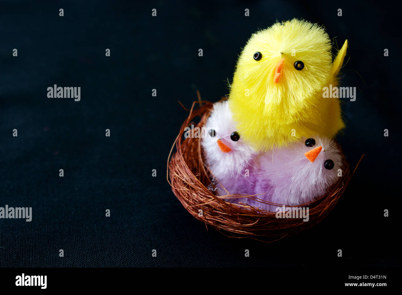 Yellow chick nest hi-res stock photography and images - Alamy
