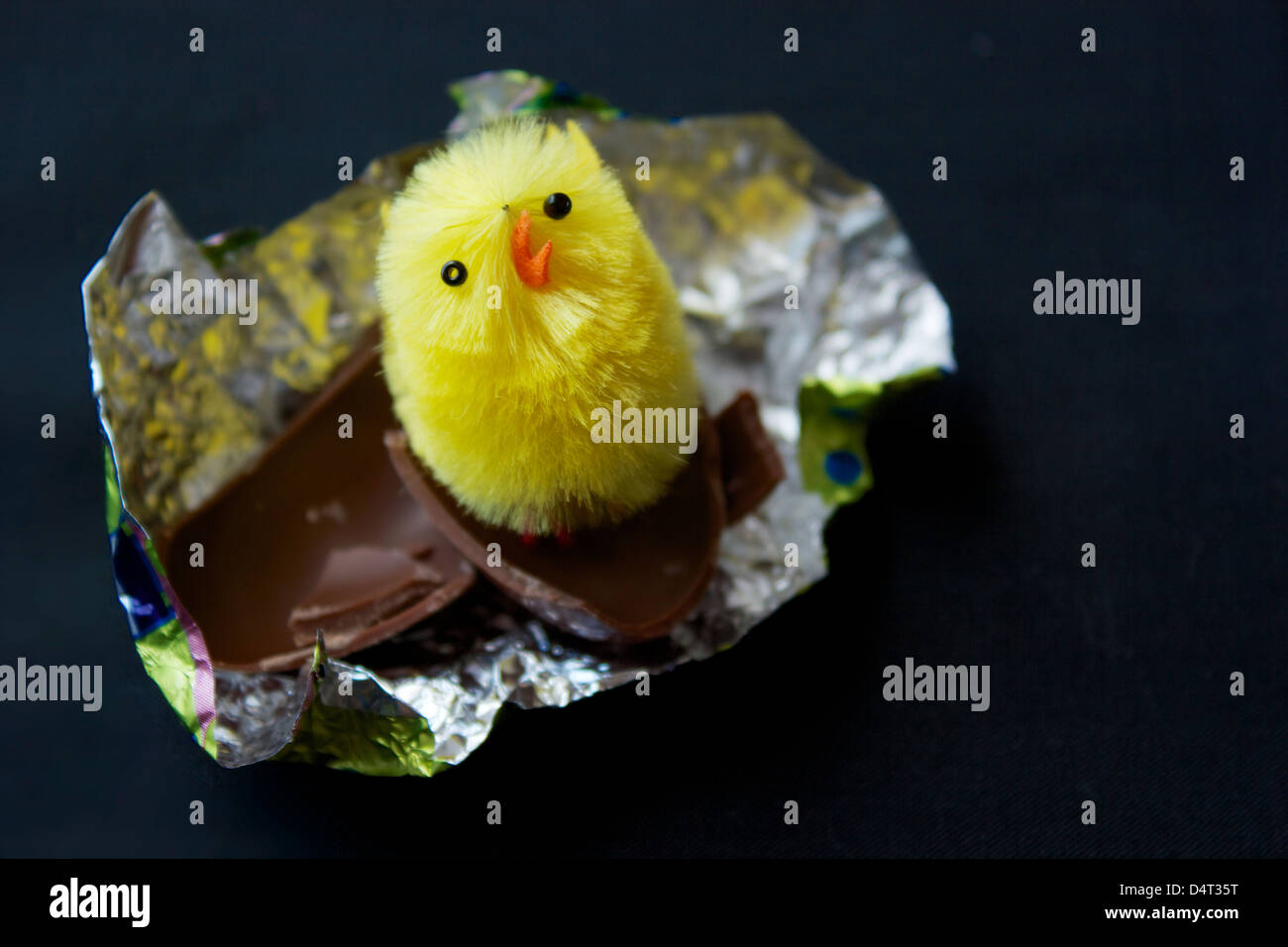 Chick and easter egg and chocolate hi-res stock photography and images ...
