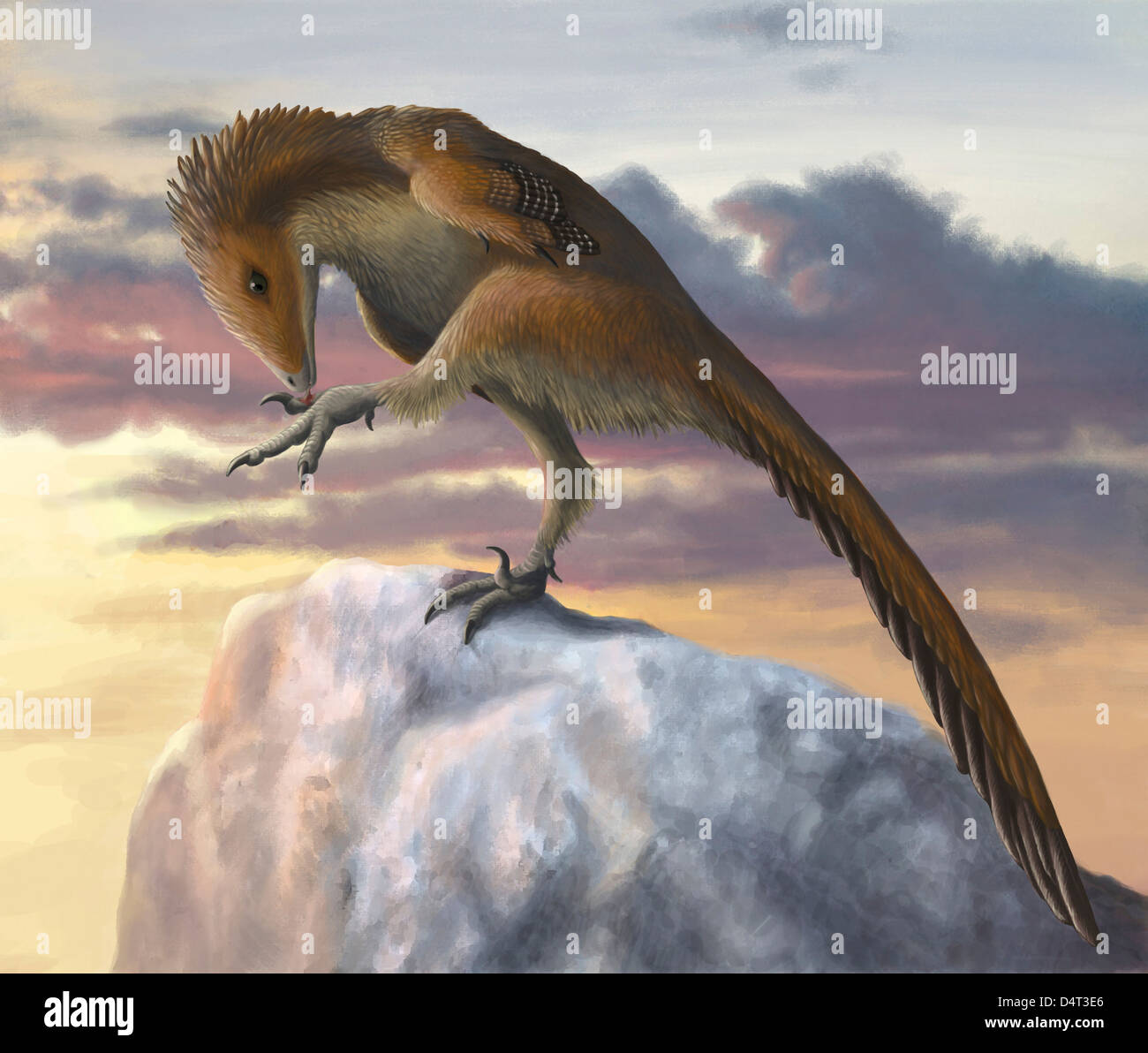 Talos hi-res stock photography and images - Alamy