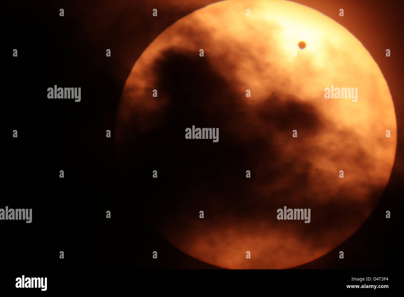 Venus anatomy hi-res stock photography and images - Alamy