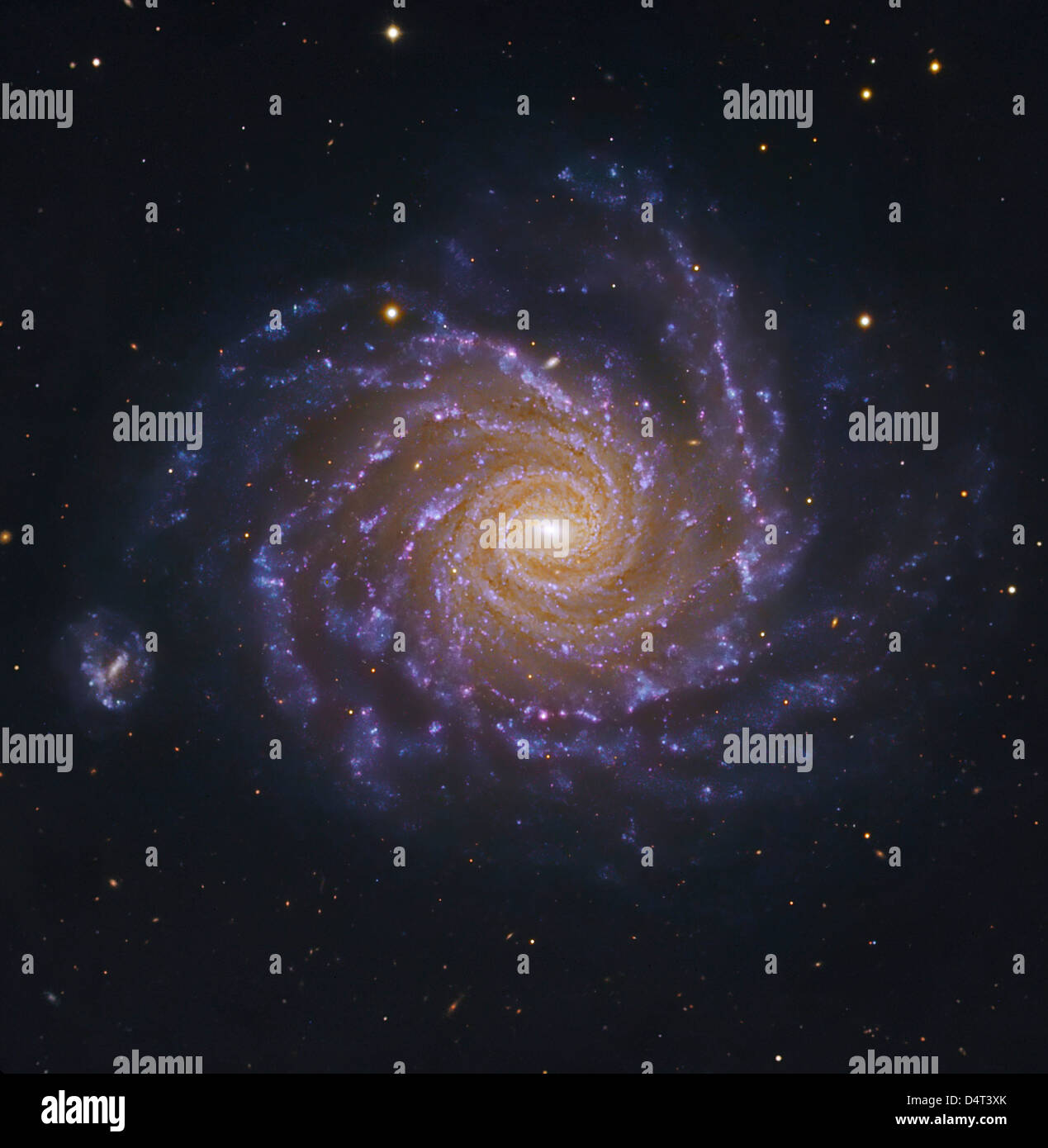 NGC 1232, a spiral galaxy in Eridanus Stock Photo - Alamy