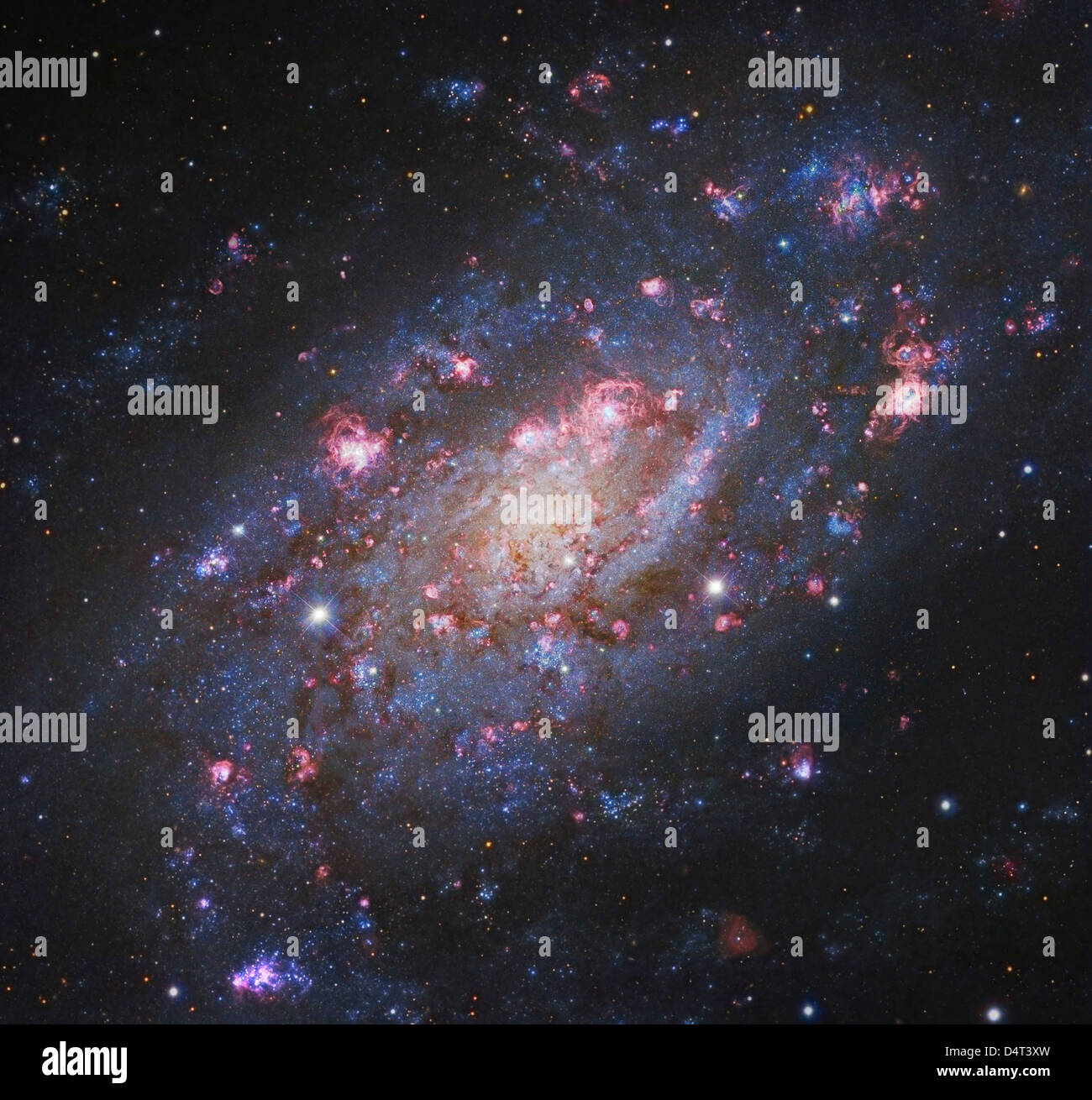 NGC 2403, a spiral galaxy in Camelopardalis Stock Photo - Alamy