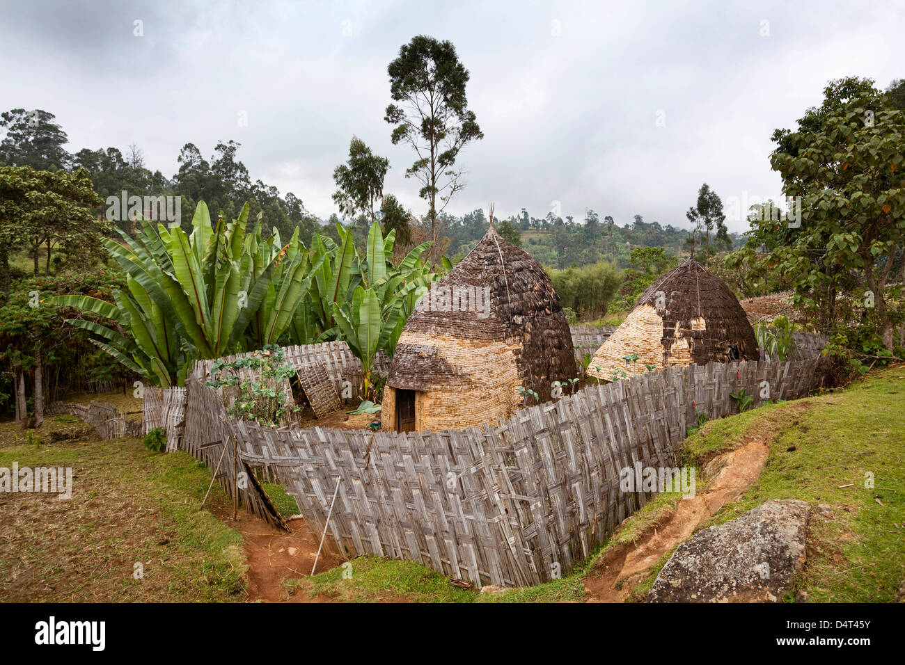 Dorze in the Guge Mountains, Ethiopia Stock Photo - Alamy