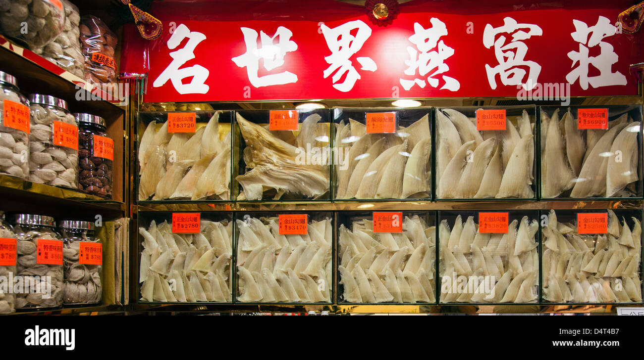 Sharks fin china hi-res stock photography and images - Alamy